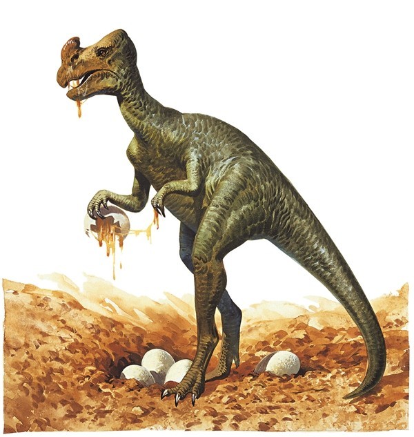 원조 알파메일.jpg