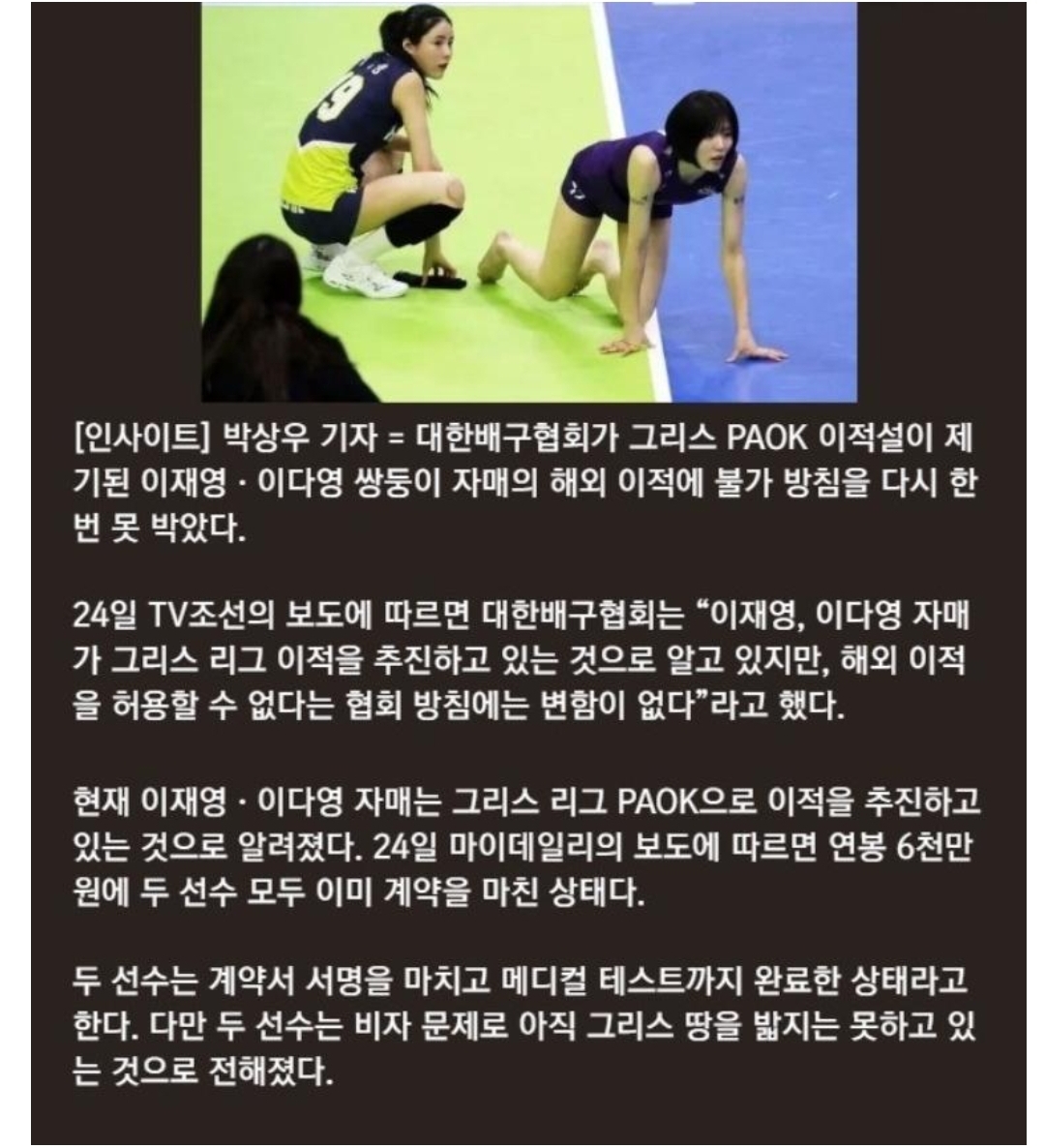 배구 쌍둥이 자매 근황 :: 웃긴대학 대기자료