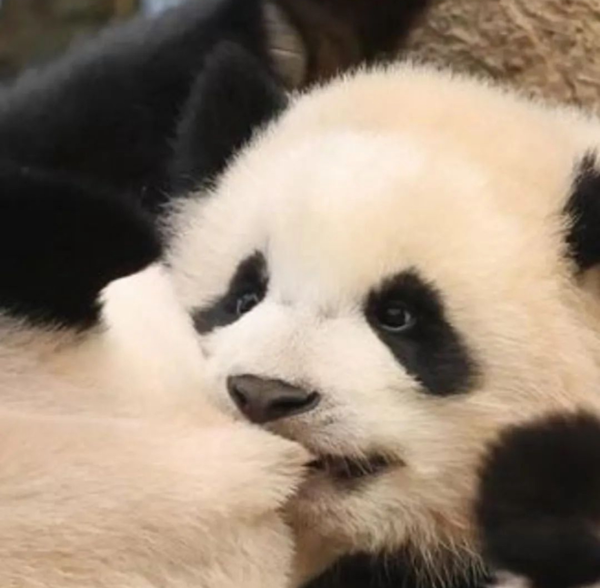 이제 서울행 KTX에서 코골이 듣는건 익숙해..