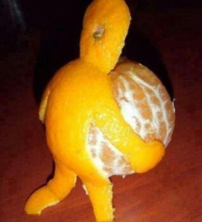 귤 씻어 먹나요? :: 웃긴대학 대기자료