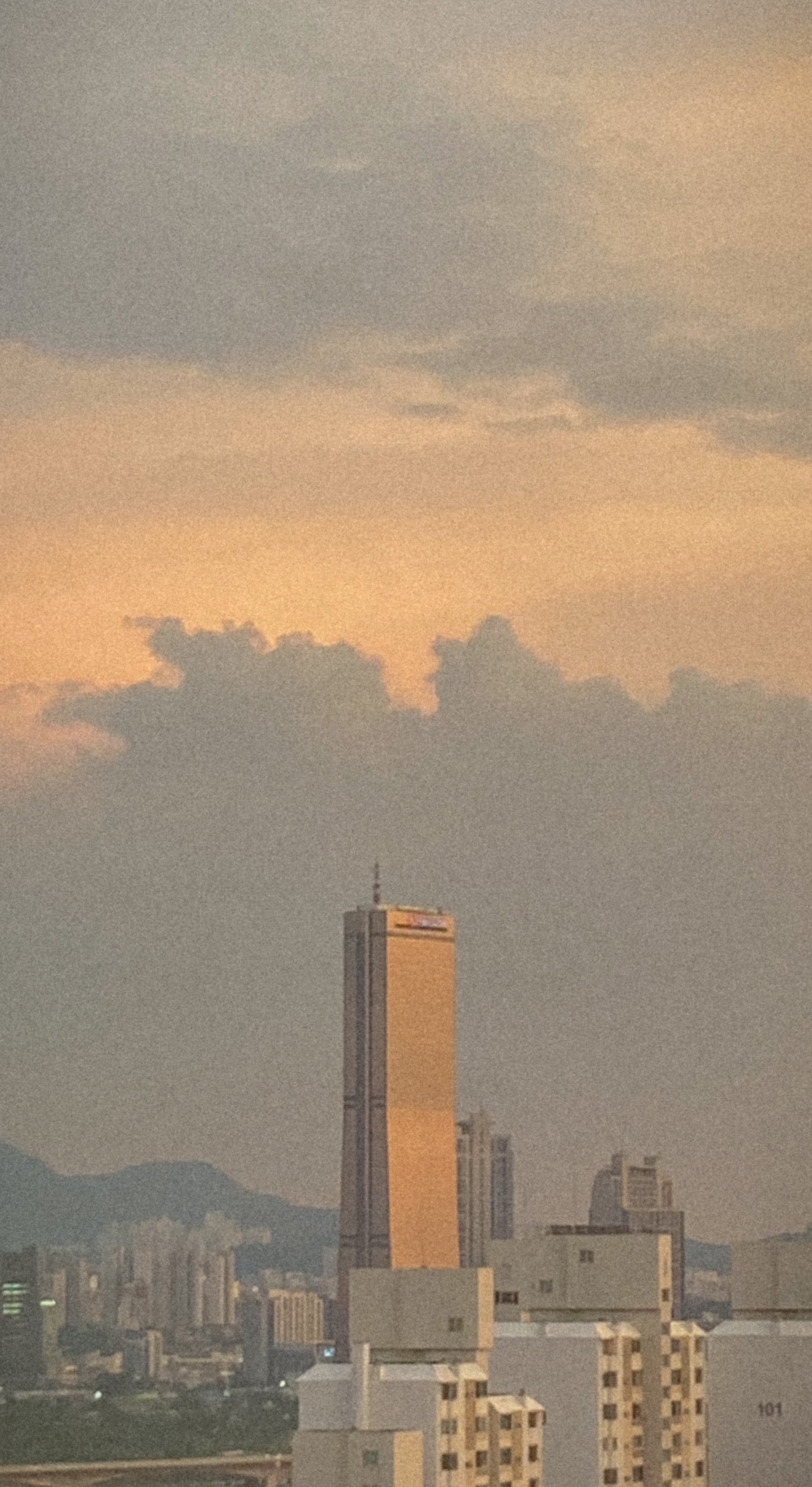 중국 코로나 근황 :: 웃긴대학 대기자료