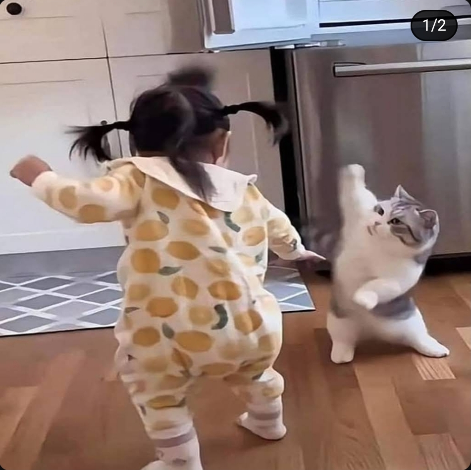 으 어떤 털숭숭 아저씨 혼자 만화카페 왔네