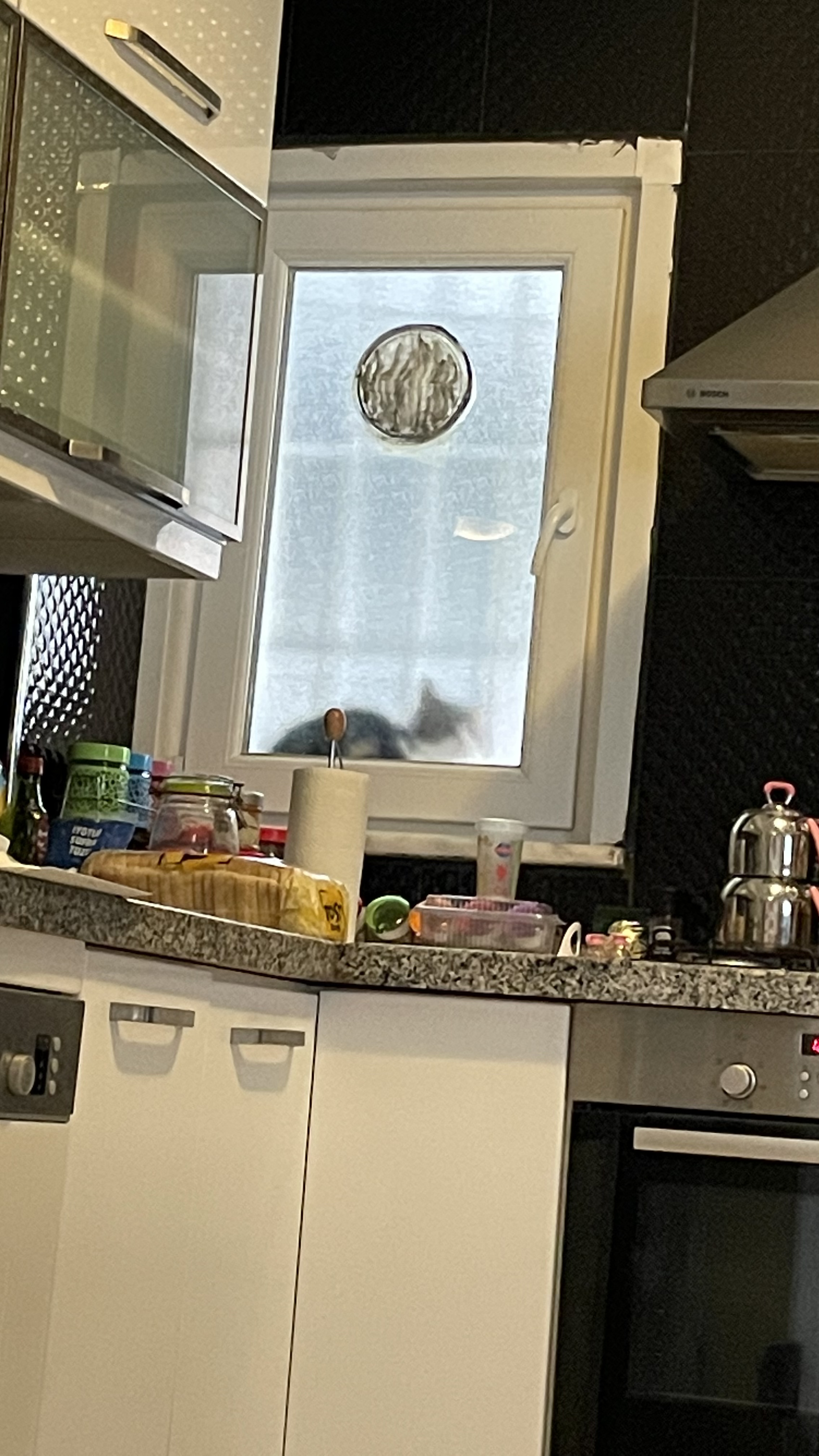 자꾸 누가 창문으로 쳐다본다 :: 웃긴대학 대기자료