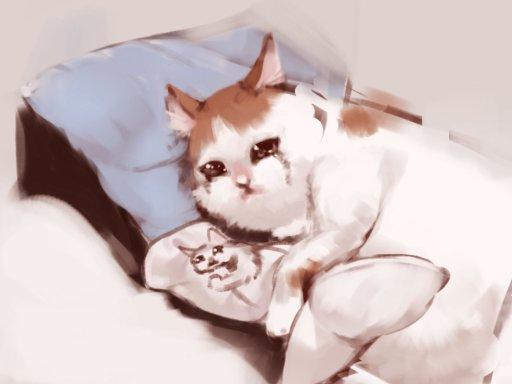 가슴 작은 사람은 브라 왜 차는거임?