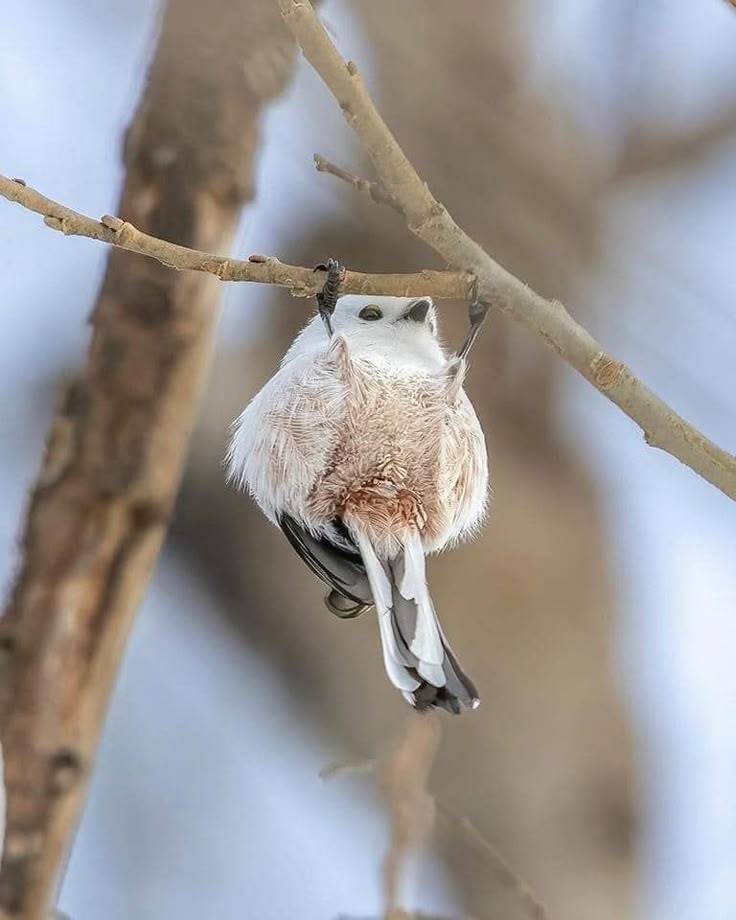 대충 어그로 끄는 제목