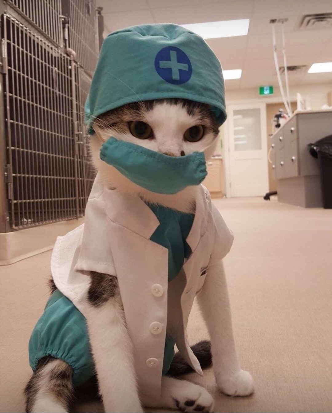 시간이 너무 순식간에 지나가