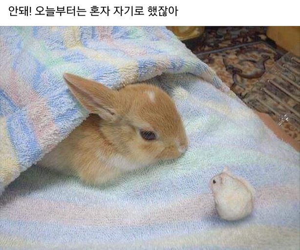 도원 중식부페 어때