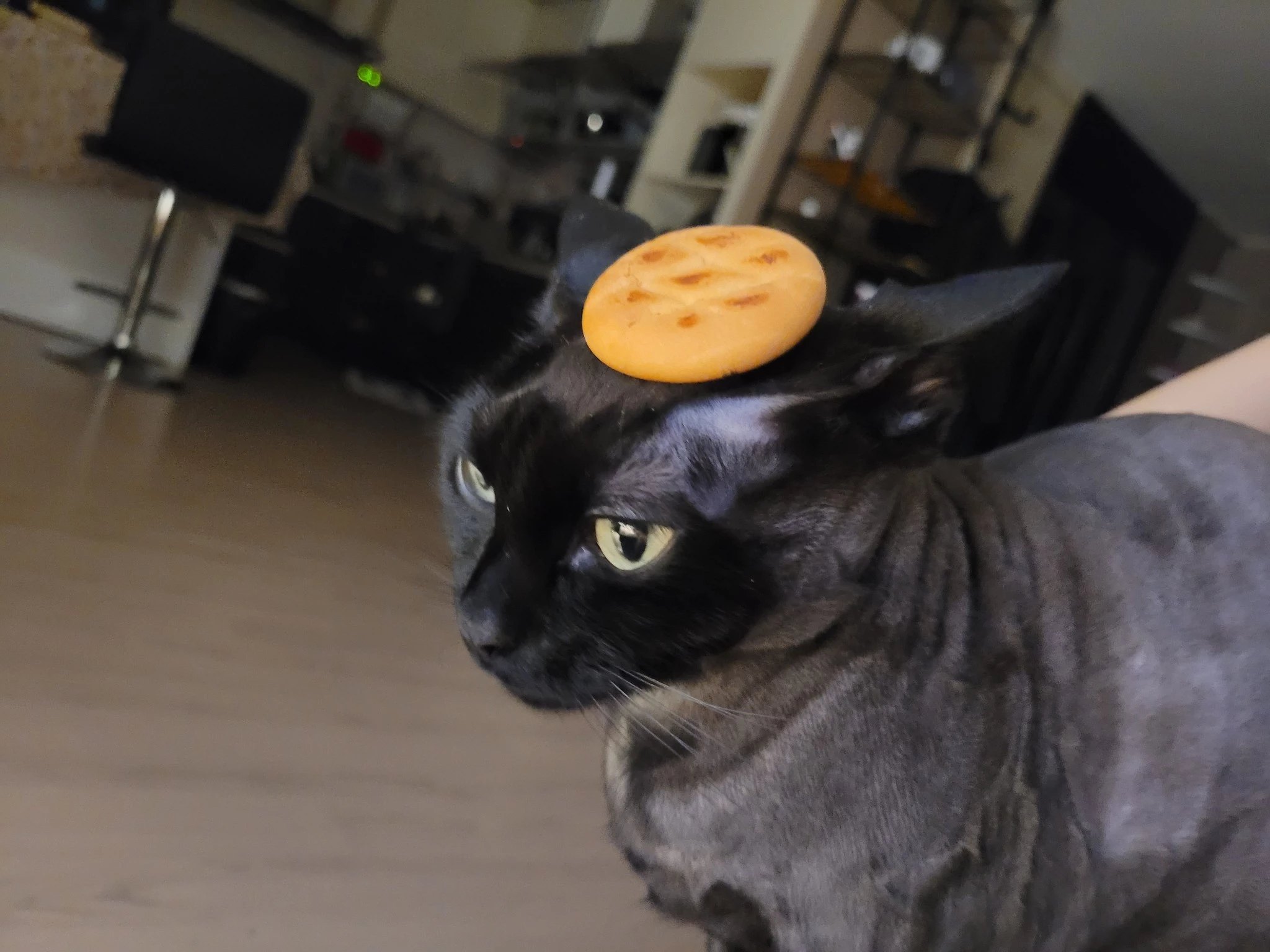 솔직히 나보다 돈많은 사람 있으면 나와봐라 ㅋㅋ