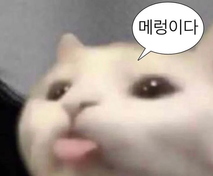 나 이제 회사에 입사동기가 생겨 ㅠㅠ