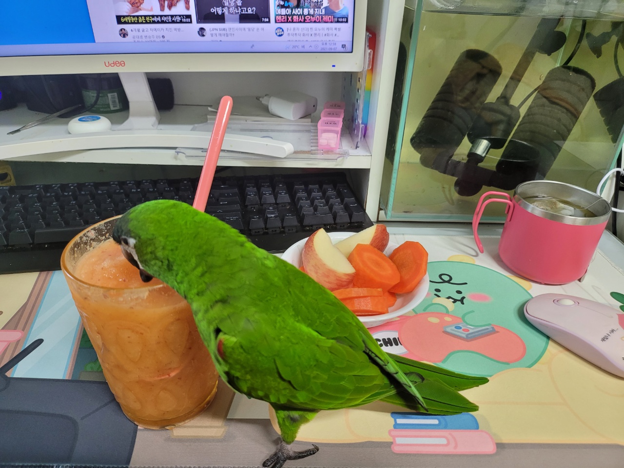 오널의 점심이다 :: 웃긴대학 대기자료