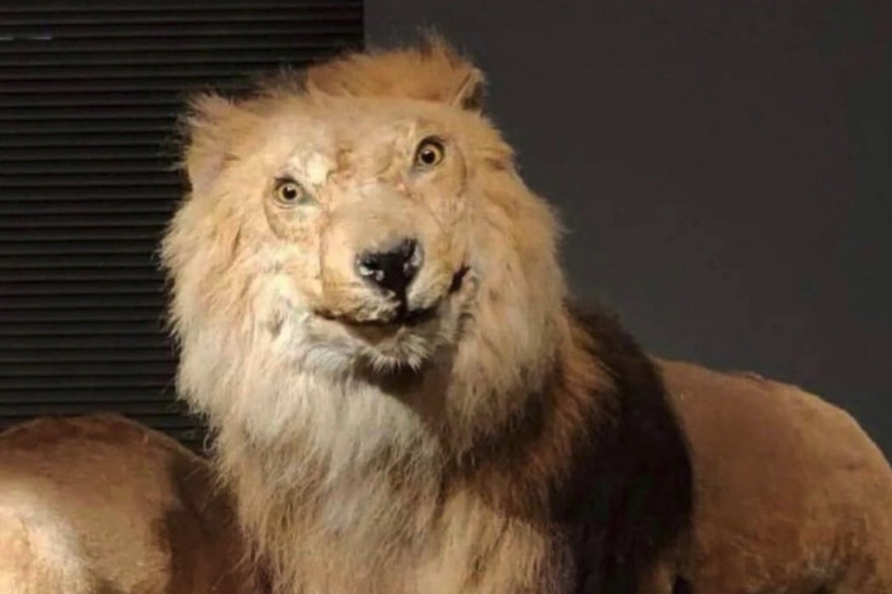 c언어 float, double