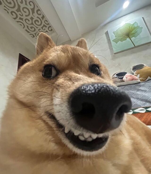 아니 하겐다즈 쓸어담을라고 아이스팩 가져왔는데