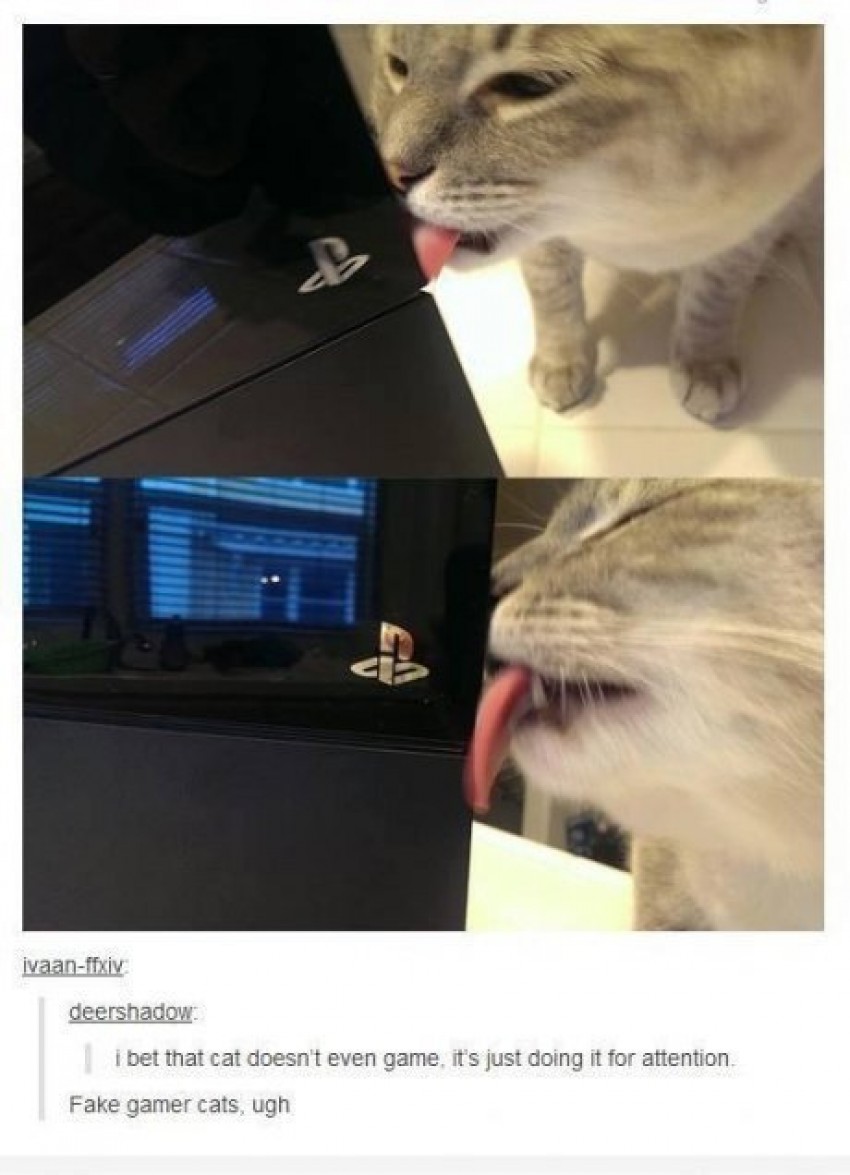 코난 오브라이언의 clueless gamer : 스카이림