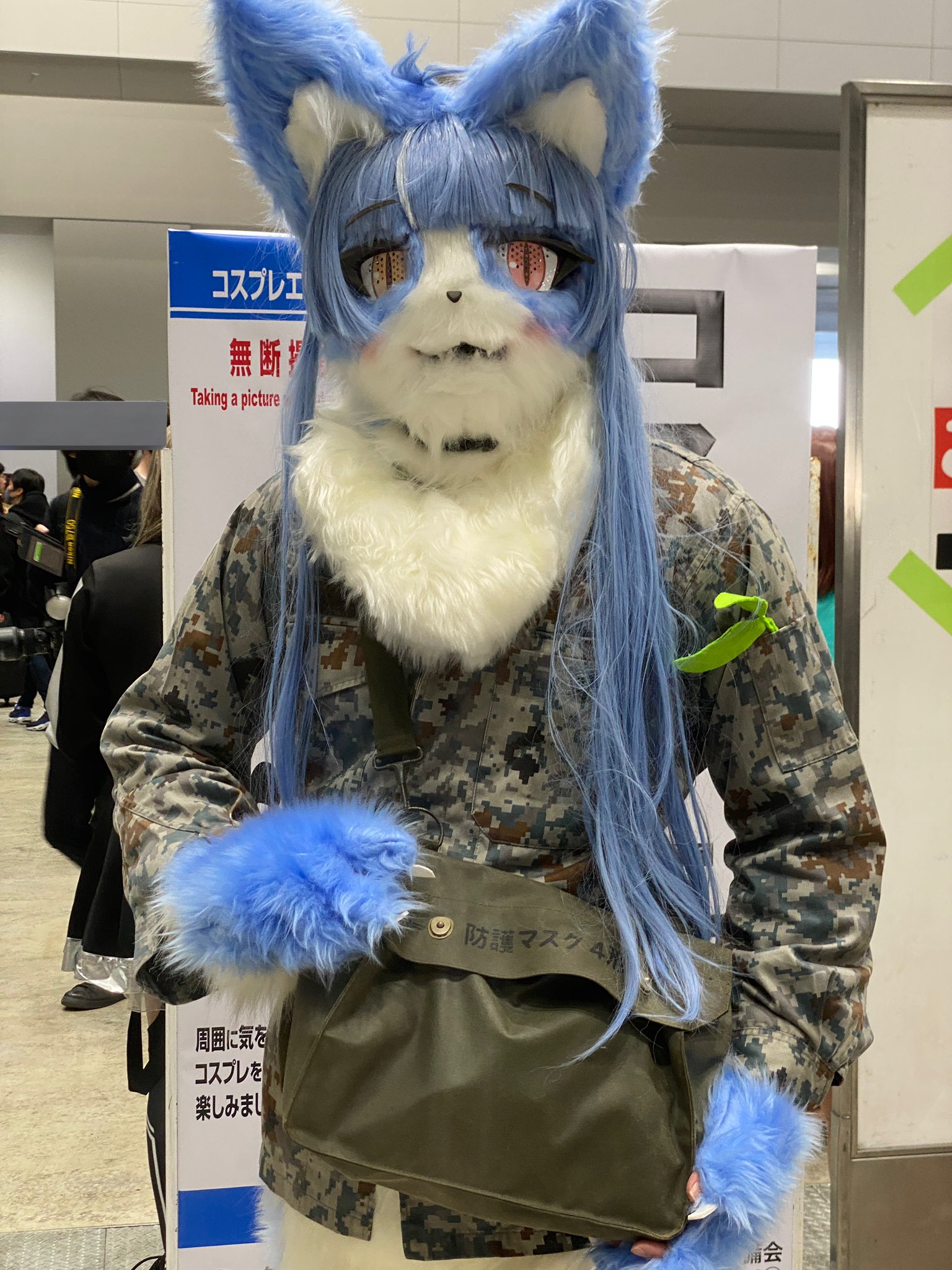 와 ㅋㅋㅋ 일본 공군 마스코트 퍼슈트로 만든 사람 있넹