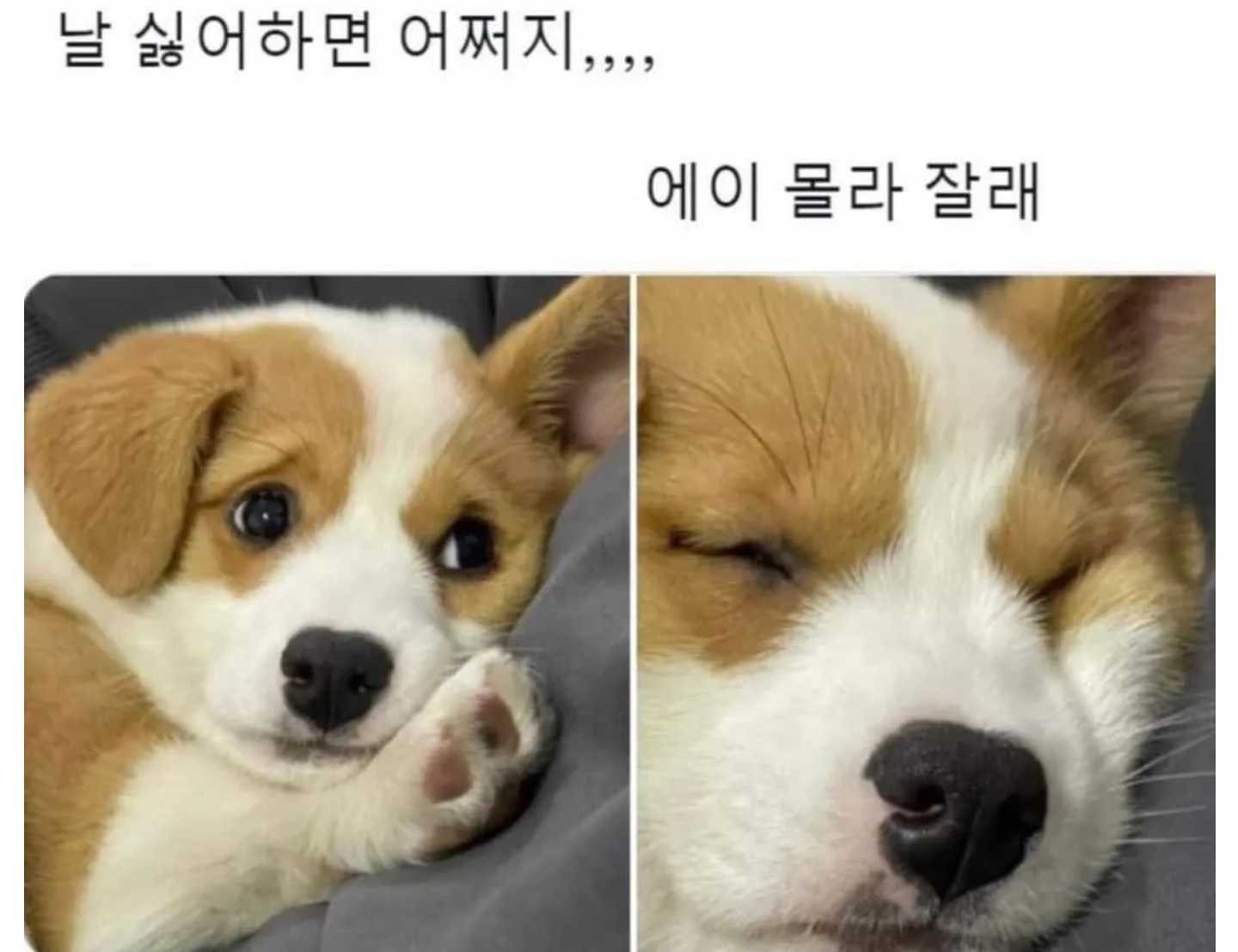 아무댓이든쓰고가